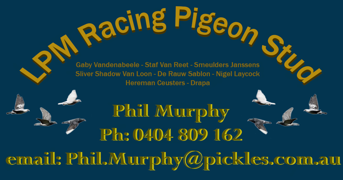 Australia National Racing Pigeon Board Incorporated – Australia ...